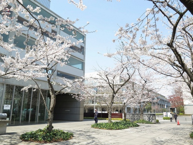 IMG_8632 | 東京都市大学 理工学部 原子力安全工学科